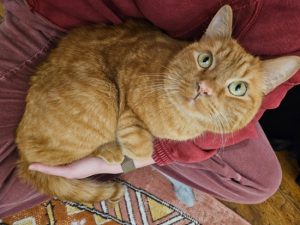 Richard Eeds Show – January 14, 2026 - SantaFe.com